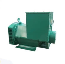 Lightweight 110-240V Single/Three Phase Brushless AC Generator With ...